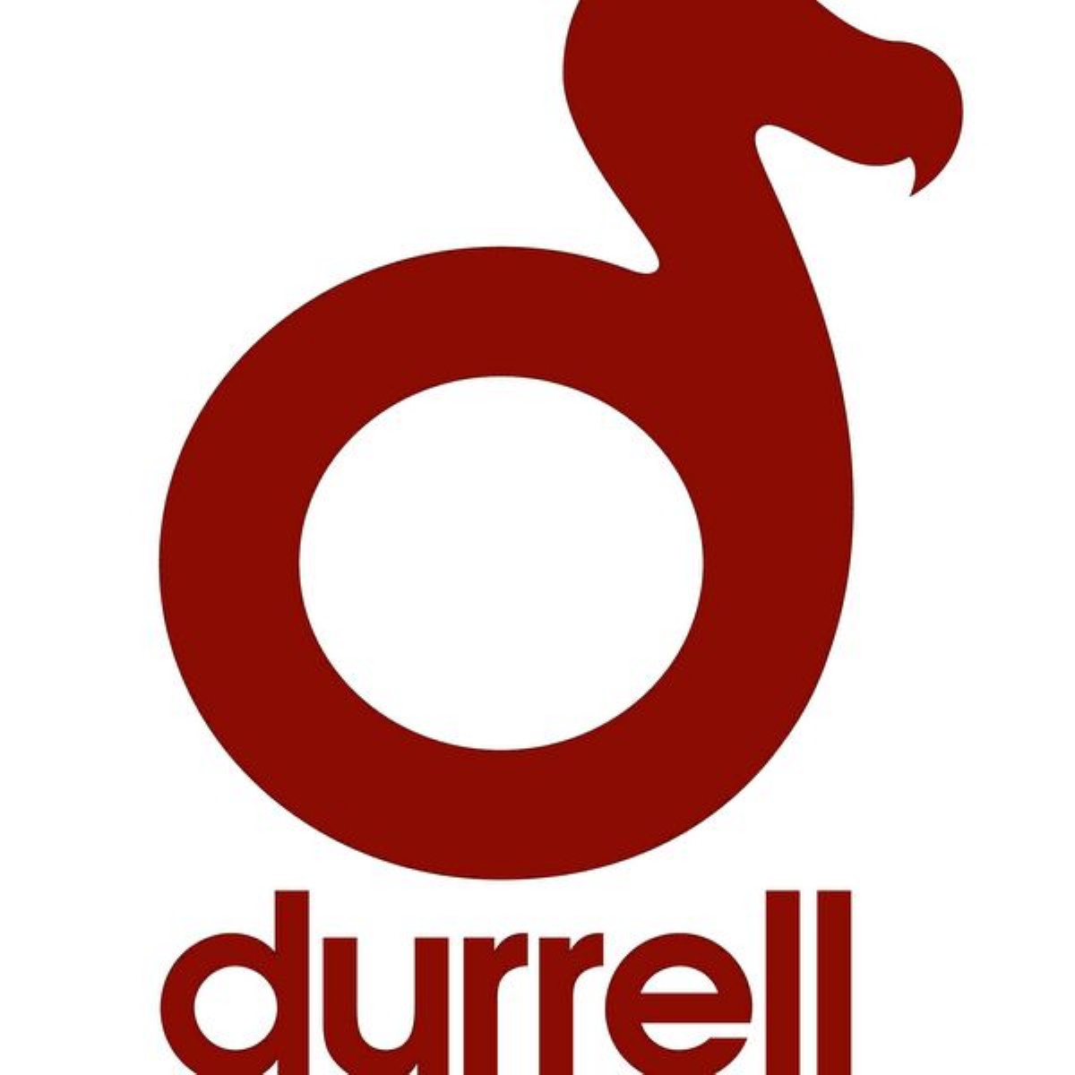 St Martin's School - friday is Dress down day (animal theme) in aid of ...